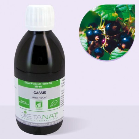 Cassis extrait de plantes fraiches bio